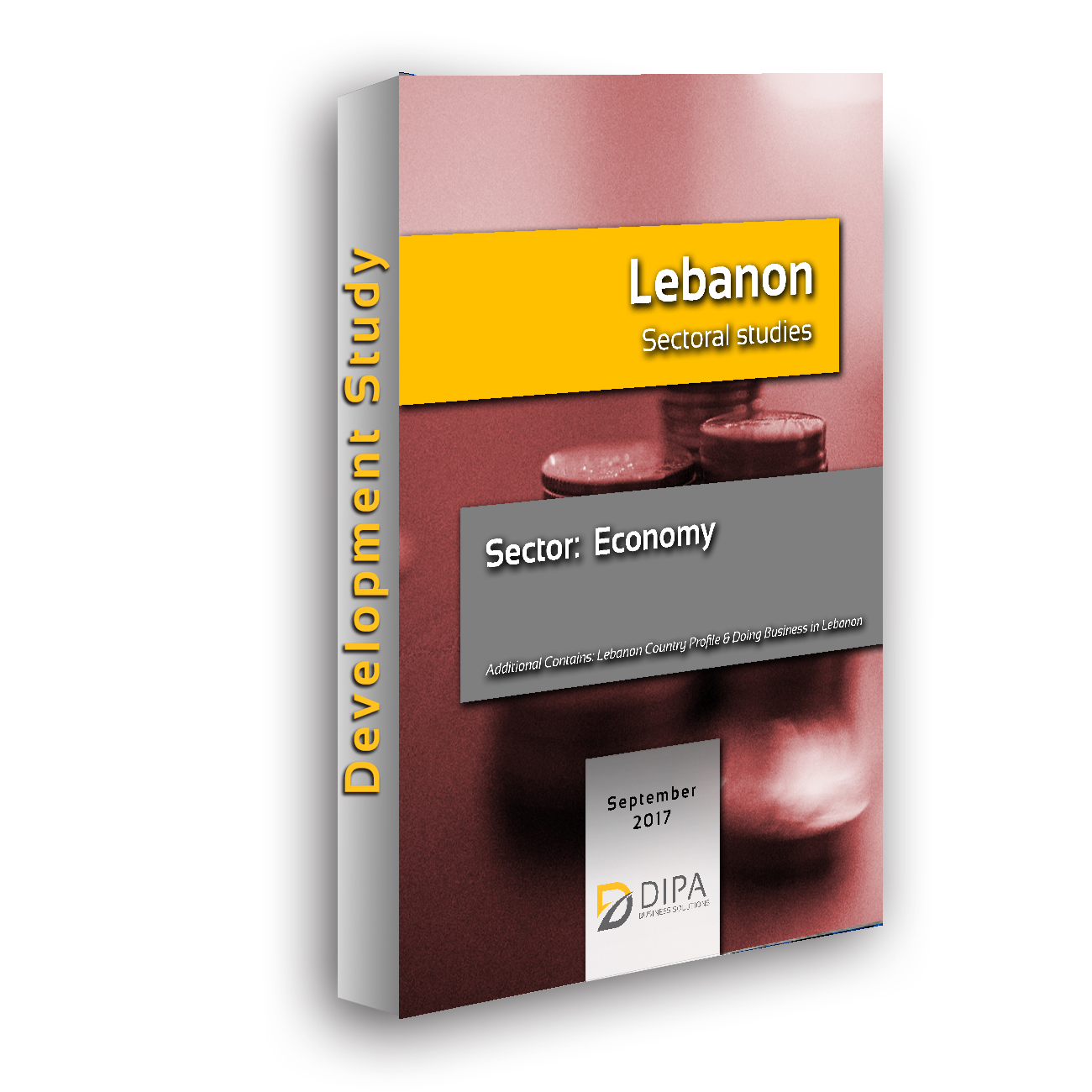 Lebanon Sectoral Study – Economy – DIPA Business Solutions Ltd