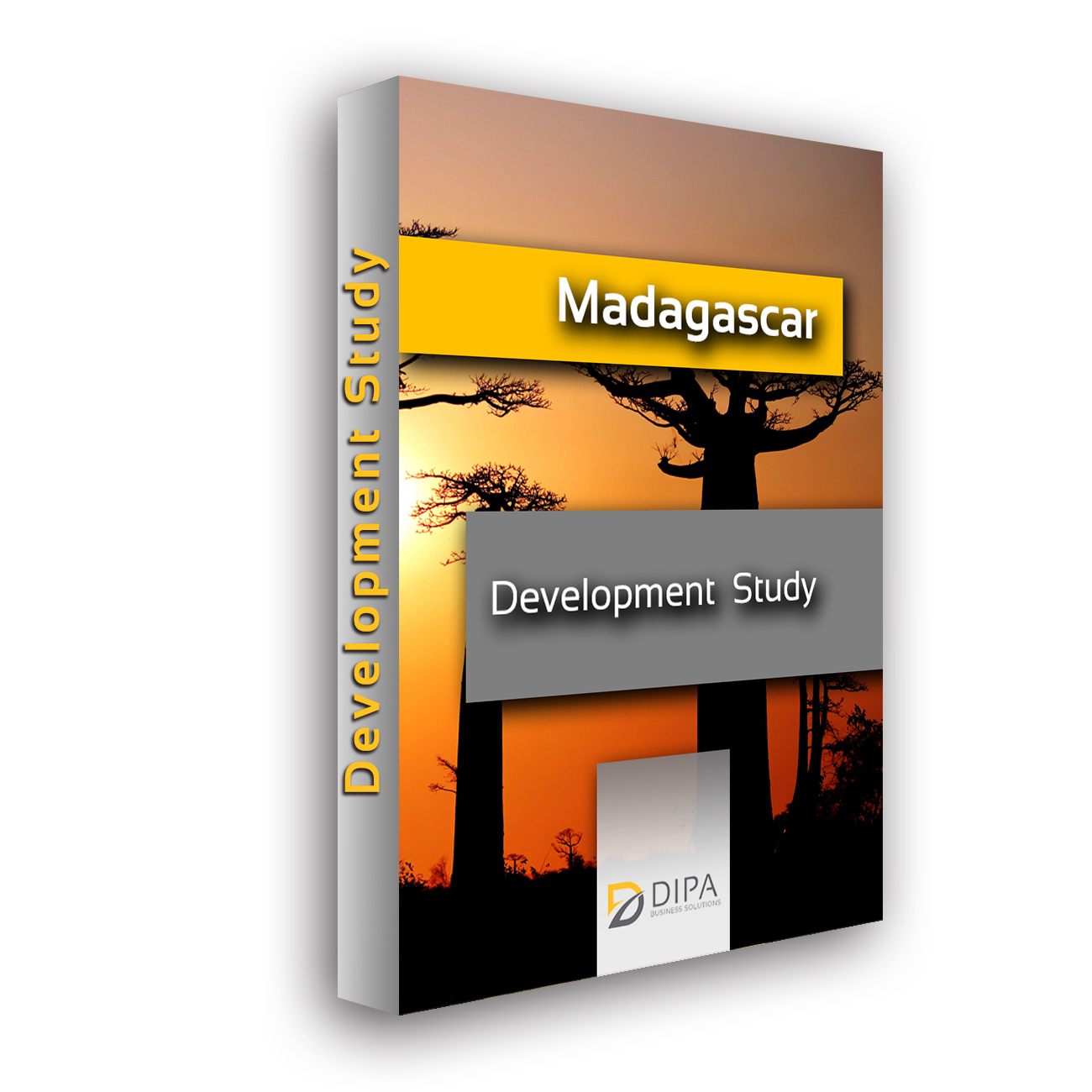 Madagascar Development Study – DIPA Business Solutions Ltd