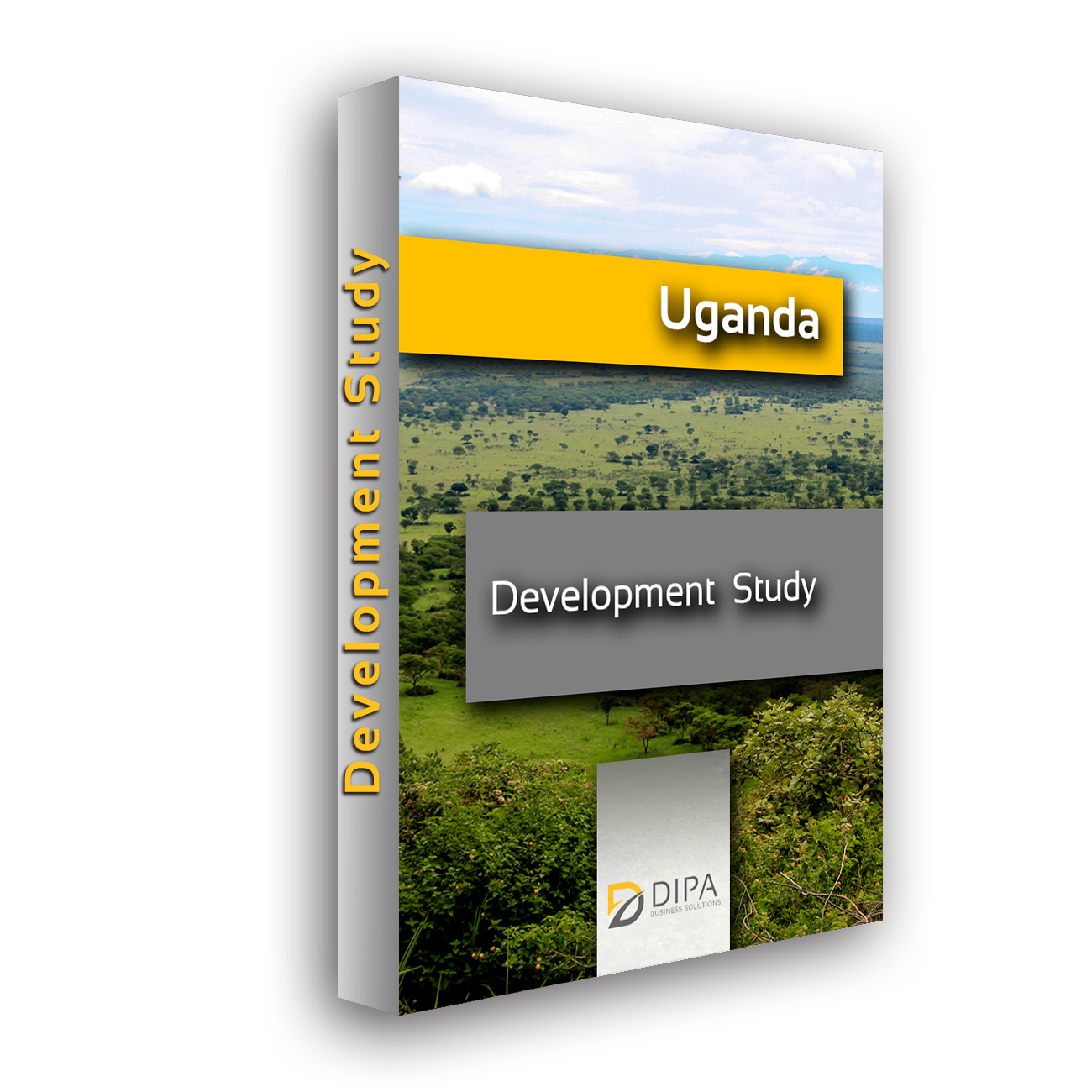 Uganda Development Study – DIPA Business Solutions Ltd